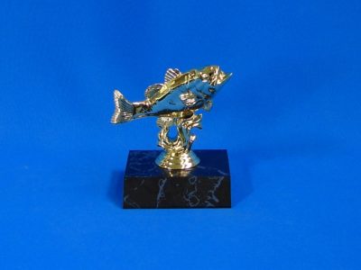 Bass Trophy – Trophy Specialists & Engraving