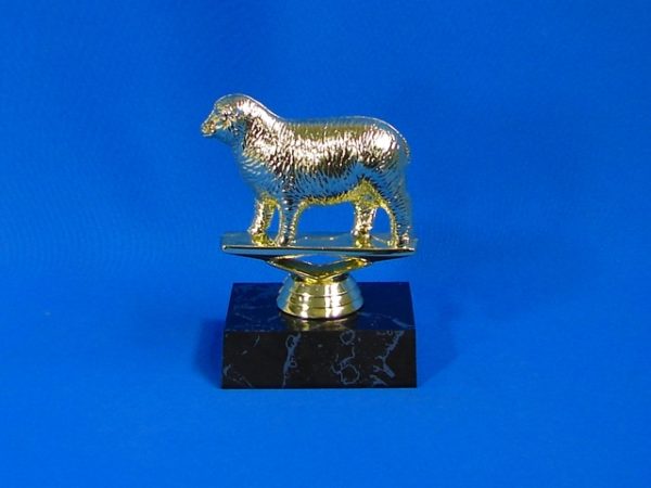 Sheep Trophy – Trophy Specialists & Engraving