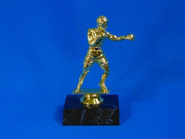 Boxing Trophy (M) – Trophy Specialists & Engraving