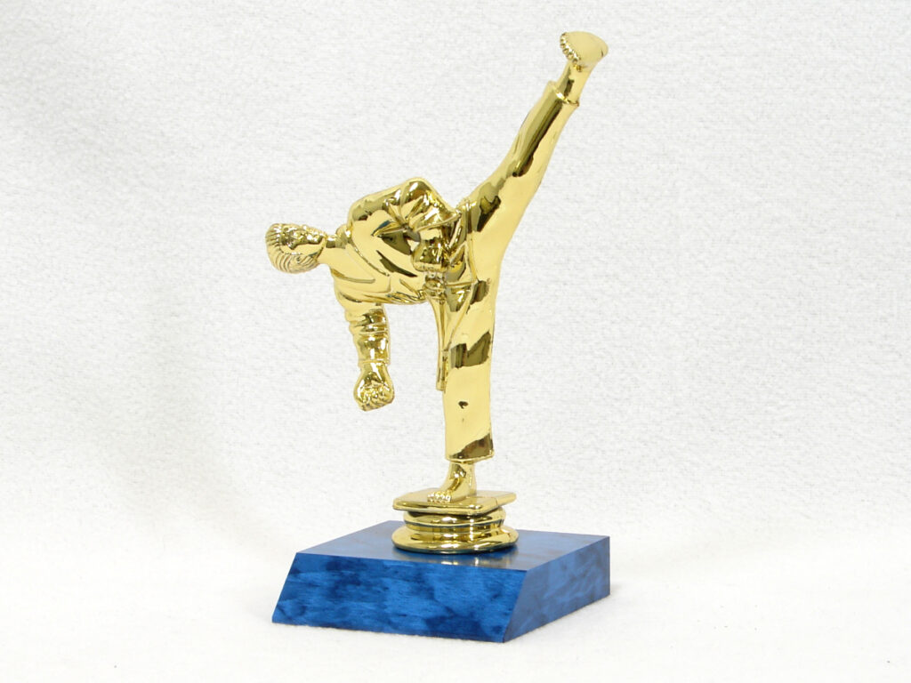 Karate Trophy – Trophy Specialists & Engraving